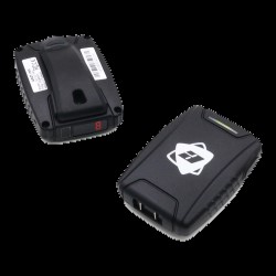 Bipeurs serveurs pour restaurant traditionnel - ARCT FRANCE